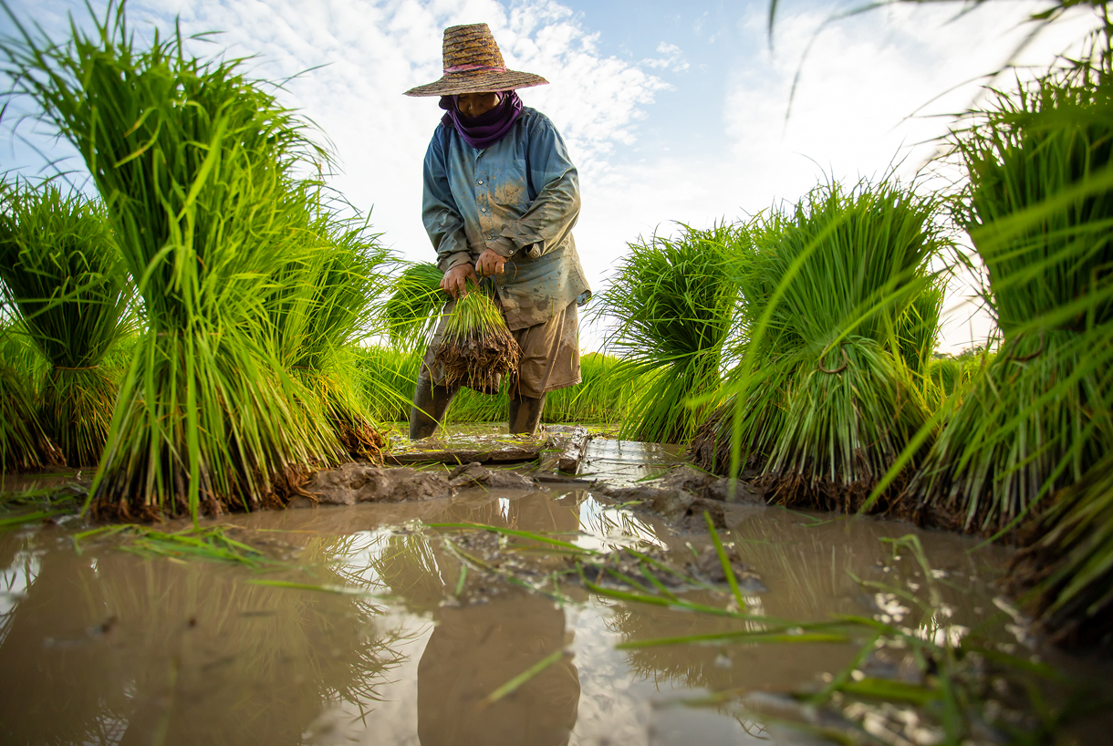 About us | Humanity Insured